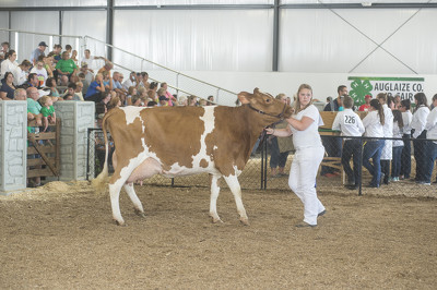 Tuesday at the Auglaize County Fair Photo Album | The Daily Standard