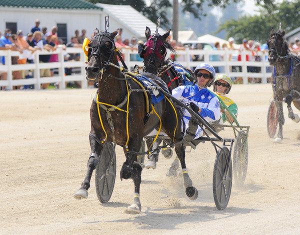 Harnes racing at the Mercer County Fair Photo Album | The Daily Standard