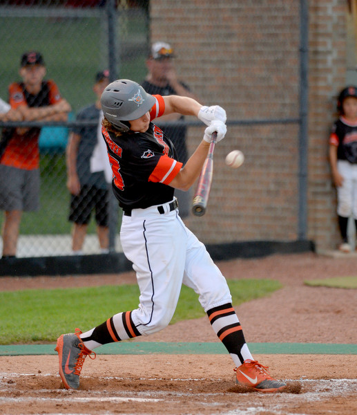 Coldwater vs Anthony Wayne ACME baseball Photo Album | The Daily Standard