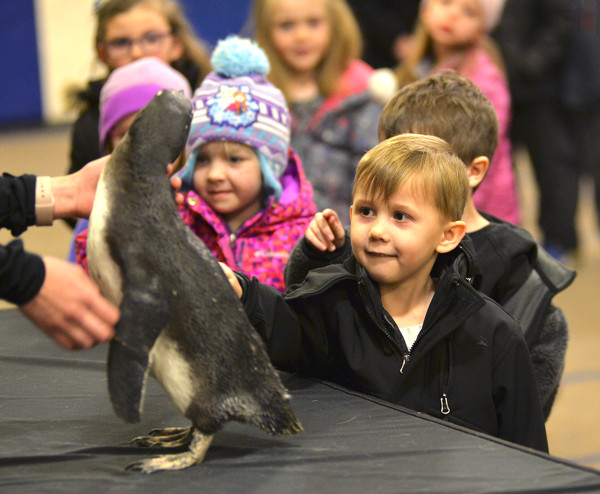 Columbus Zoo visit Immaculate Conception School Photo Album | The Daily ...