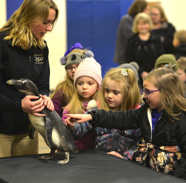 Columbus Zoo visit Immaculate Conception School Photo Album | The Daily ...