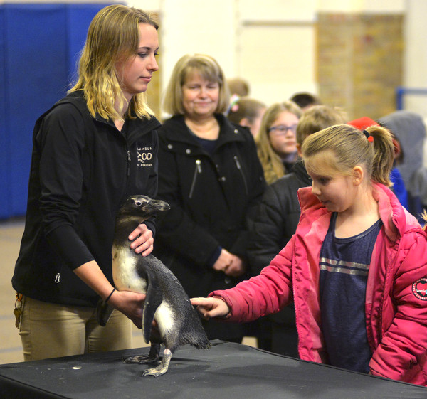 Columbus Zoo visit Immaculate Conception School Photo Album | The Daily ...