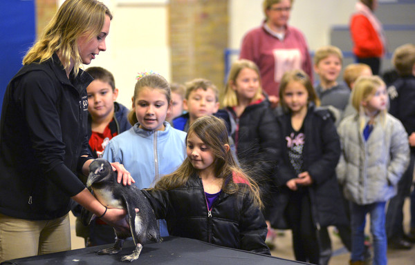 Columbus Zoo visit Immaculate Conception School Photo Album | The Daily ...