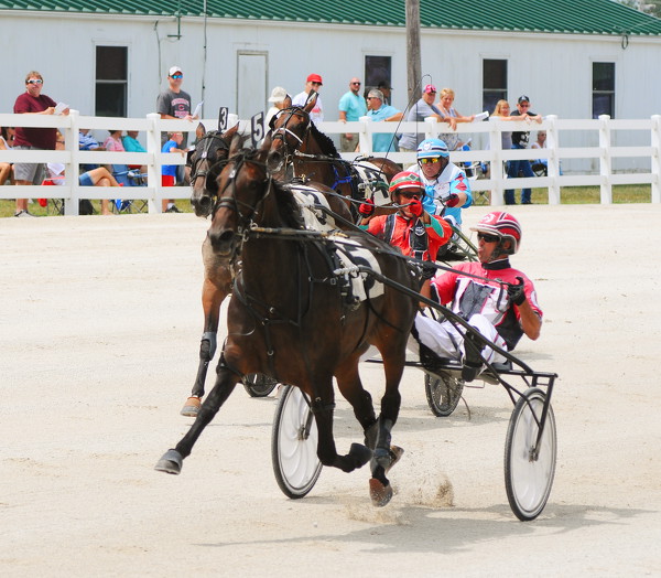 Harness racing at the Mercer County Fair Photo Album | The Daily Standard