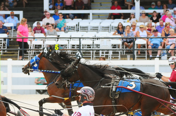 Harness racing at the Mercer County Fair Photo Album | The Daily Standard