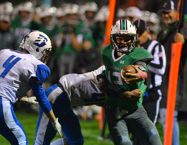 Celina vs Defiance football Photo Album | The Daily Standard