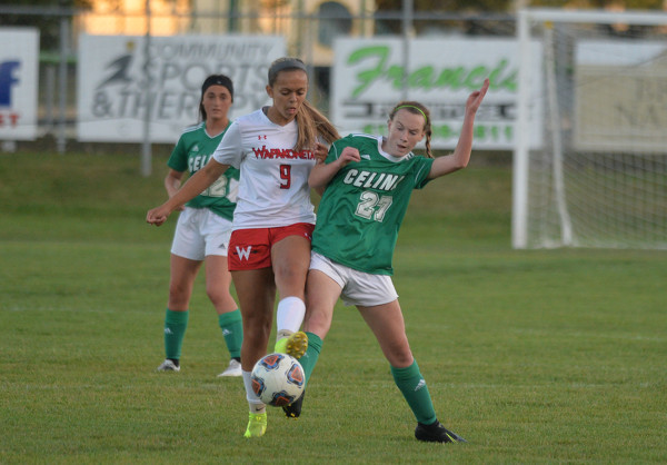 Celina vs Wapakoneta girls soccer Photo Album | The Daily Standard
