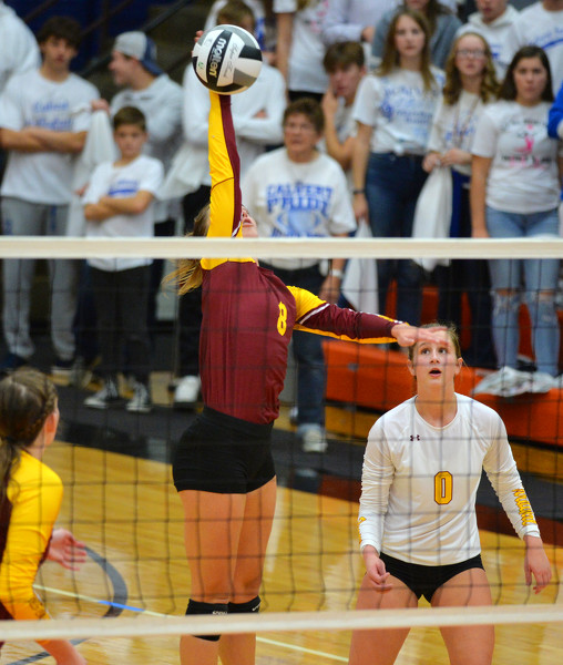 New Bremen vs Tiffin Calvert volleyball Photo Album | The Daily Standard