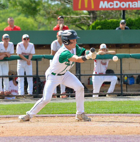 Celina vs Wapakoneta baseball Photo Album | The Daily Standard