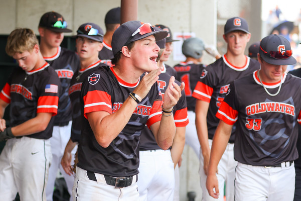 Coldwater vs Napoleon ACME baseball Photo Album | The Daily Standard
