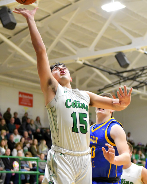 Marion Local vs Celina boys basketball Photo Album | The Daily Standard