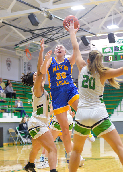 Marion Local vs Celina girls basketball Photo Album | The Daily Standard