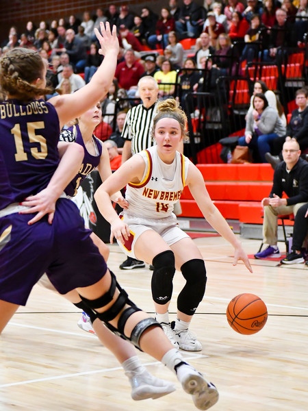 New Bremen vs Ada girls basketball Photo Album | The Daily Standard
