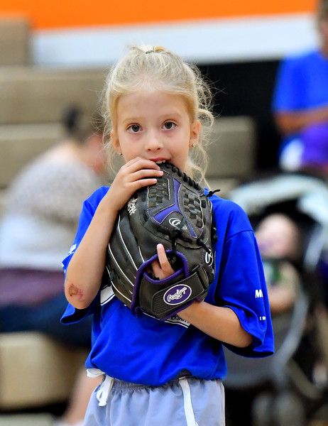 Challenger Baseball league at Coldwater Photo Album | The Daily Standard