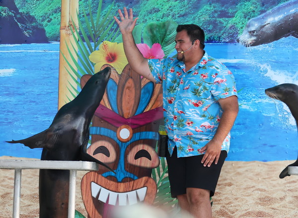 Sea Lion Splash at the Mercer County Fair Photo Album | The Daily Standard