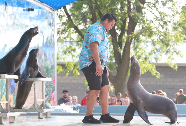 Sea Lion Splash at the Mercer County Fair Photo Album | The Daily Standard