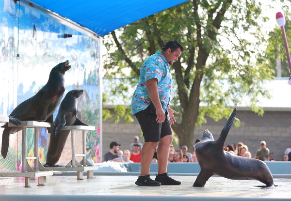 Sea Lion Splash at the Mercer County Fair Photo Album | The Daily Standard