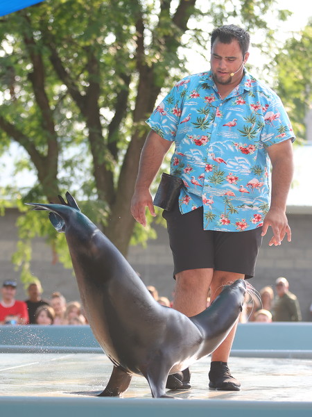 Sea Lion Splash at the Mercer County Fair Photo Album | The Daily Standard