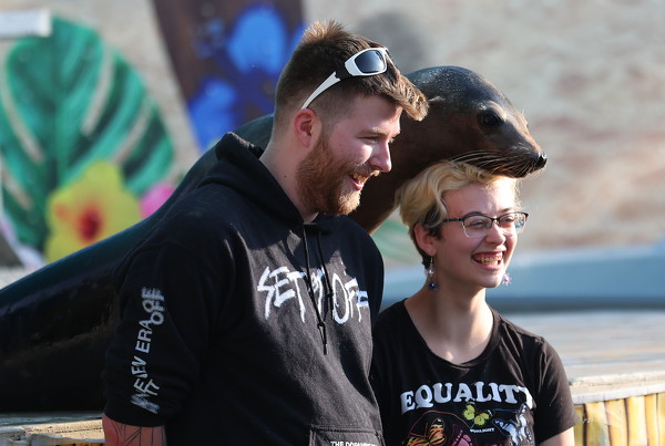 Sea Lion Splash at the Mercer County Fair Photo Album | The Daily Standard