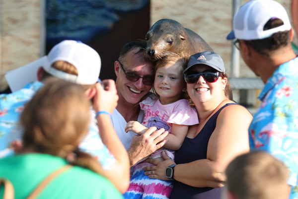 Sea Lion Splash at the Mercer County Fair Photo Album | The Daily Standard
