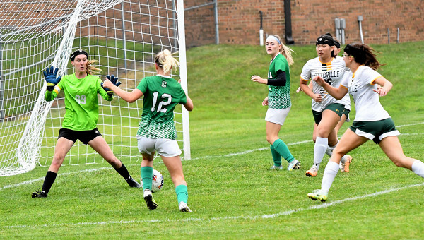 Celina vs Ottoville girls soccer Photo Album | The Daily Standard