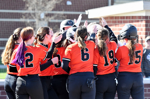 Coldwater vs Fort Recovery softball Photo Album | The Daily Standard