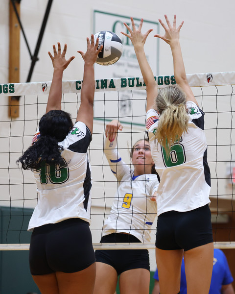Marion Local vs Celina volleyball Photo Album | The Daily Standard