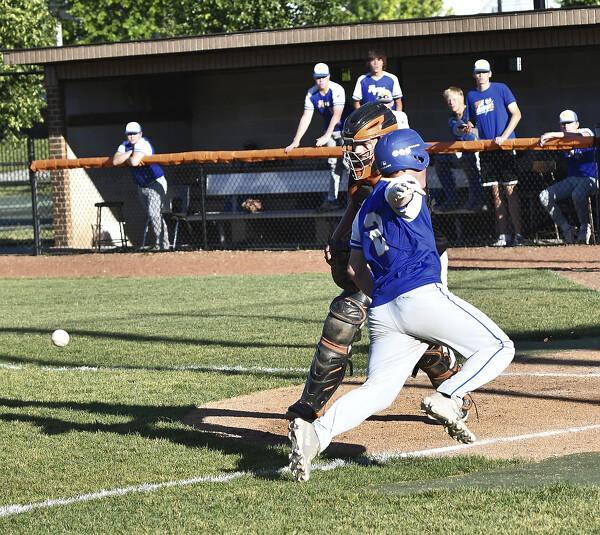 Coldwater vs Marion Local ACME baseball Photo Album | The Daily Standard