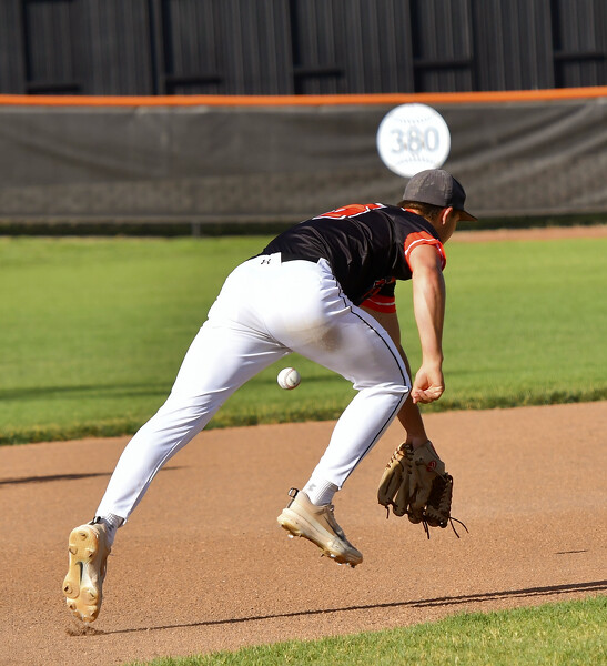 Coldwater vs Wayne Trace ACME baseball Photo Album | The Daily Standard