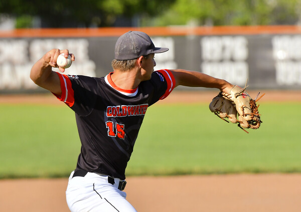 Coldwater vs Wayne Trace ACME baseball Photo Album | The Daily Standard