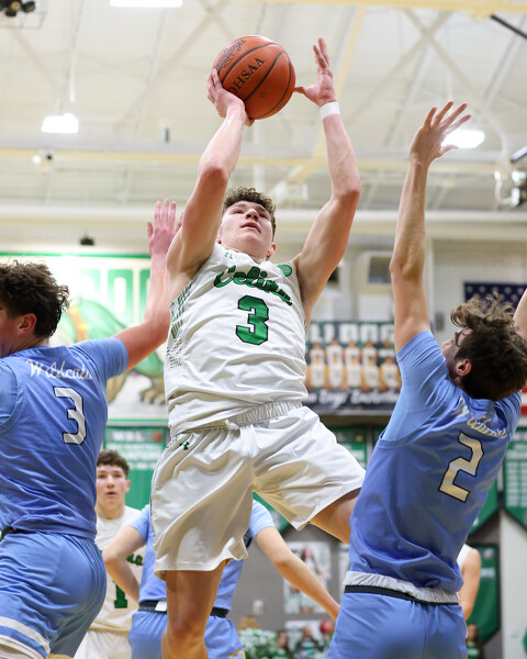 Celina vs Bath boys basketball Photo Album | The Daily Standard