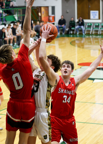 Celina vs Shawnee boys basketball Photo Album | The Daily Standard
