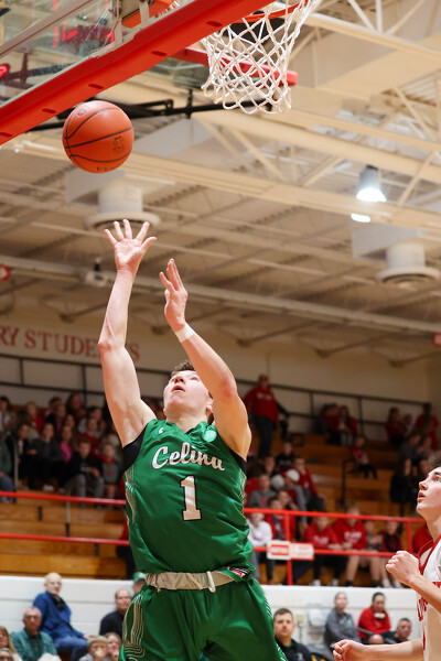 St. Henry vs Celina boys basketball Photo Album | The Daily Standard