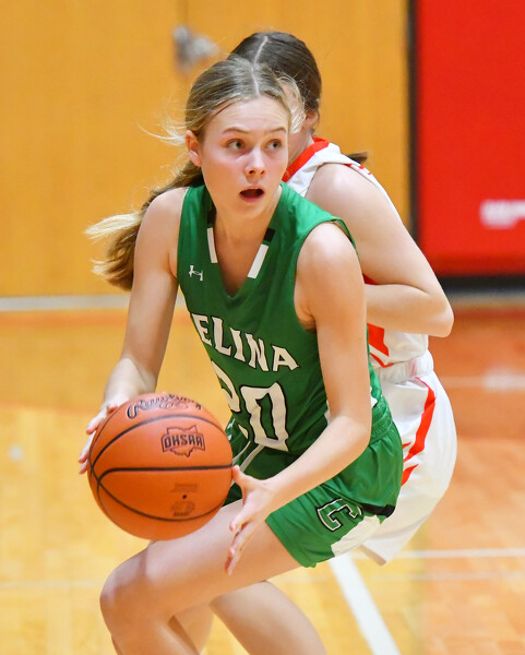 St. Henry vs Celina girls basketball Photo Album | The Daily Standard