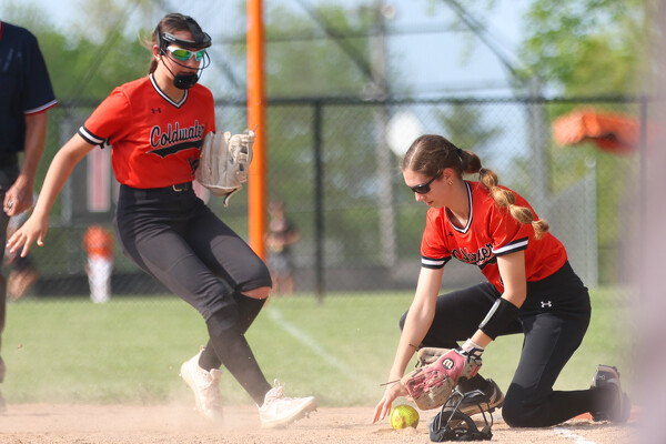 Minster vs Coldwater softball Photo Album | The Daily Standard