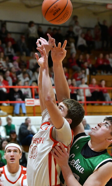St. Henry vs Celina boys basketball Photo Album | The Daily Standard