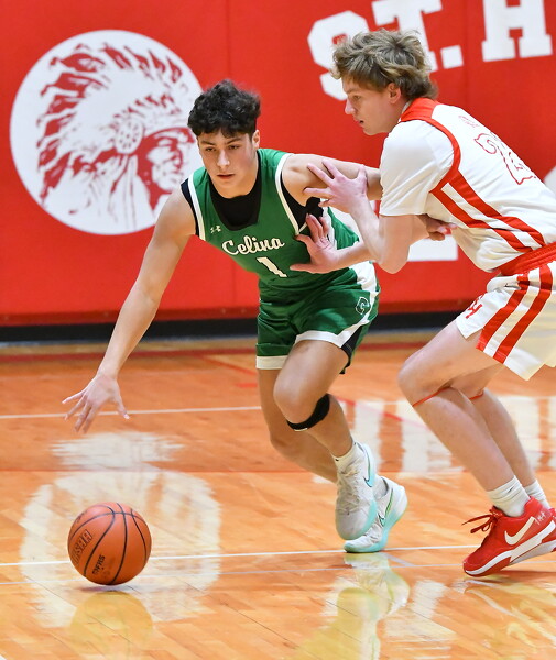 St. Henry vs Celina boys basketball Photo Album | The Daily Standard