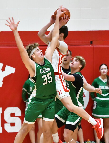 St. Henry vs Celina boys basketball Photo Album | The Daily Standard