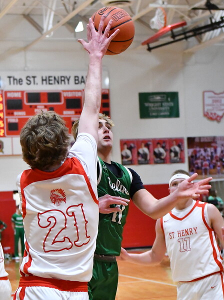 St. Henry vs Celina boys basketball Photo Album | The Daily Standard